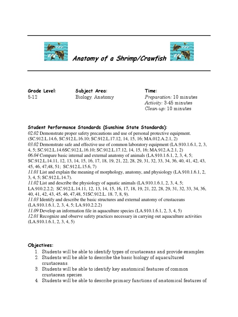 Common Issues With Crayfish Anatomy Diagram Inside And How To Fix ...